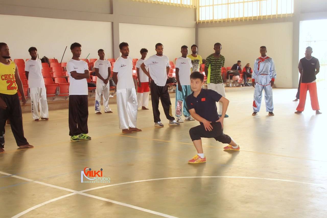 Ethiopian Wushu Federation